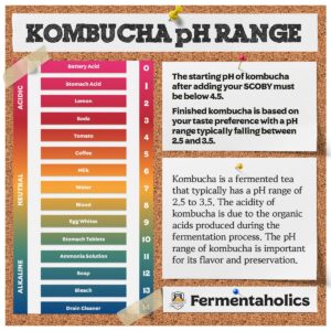 Kombucha pH Test Strips - pH Range 0-6 | 100 Test Sticks | Instant Read | Food Service, Brewing and Fermentation Test Strips