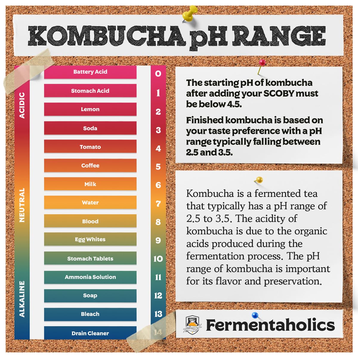 Kombucha pH Test Strips - pH Range 0-6 | 100 Test Sticks | Instant Read | Food Service, Brewing and Fermentation Test Strips