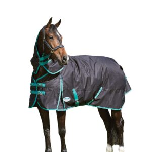 weatherbeeta green-tec 900d detach-a-neck medium horse blanket, black/bottle green, 69"