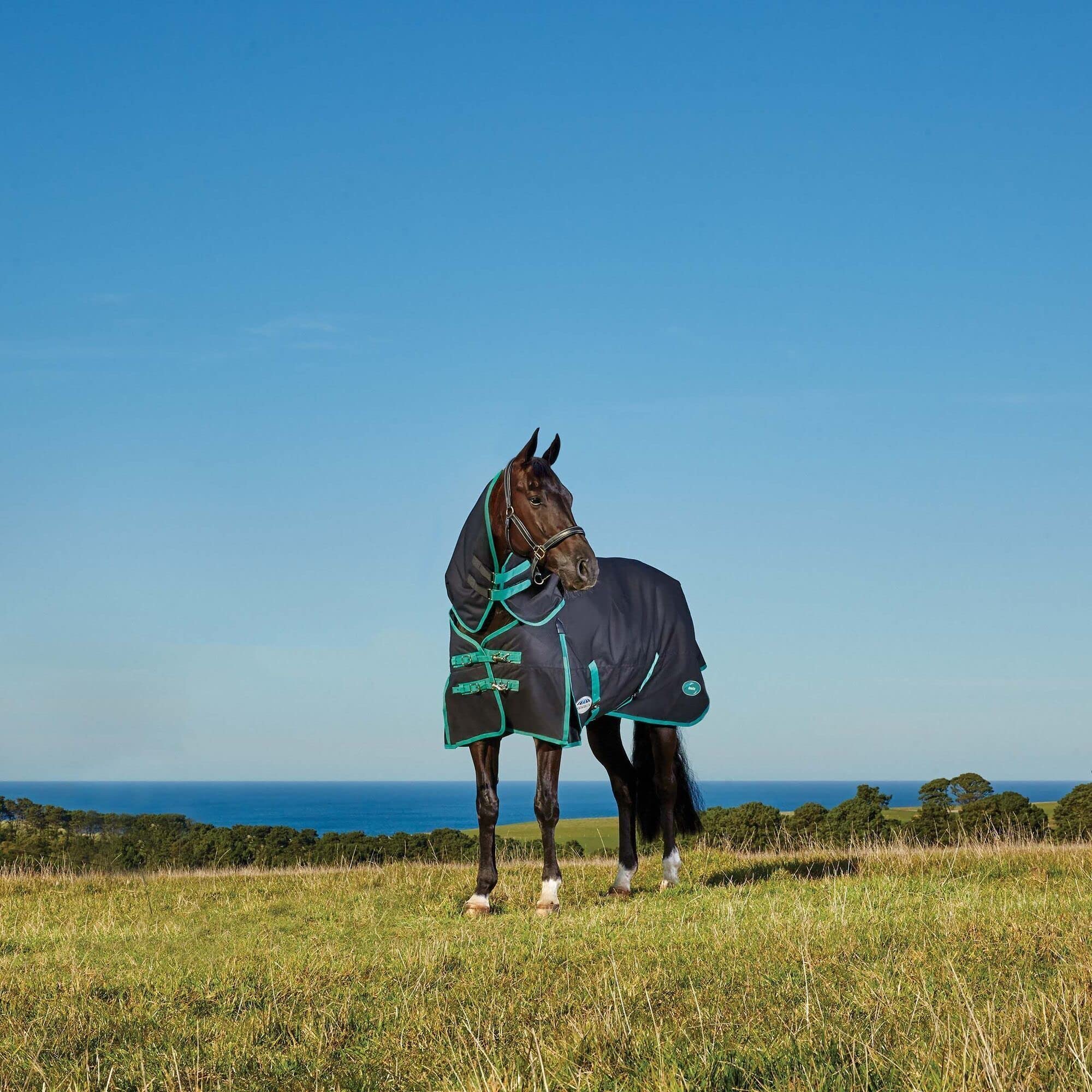 WeatherBeeta Green-Tec 900D Detach-A-Neck Medium Horse Blanket, Black/Bottle Green, 69"