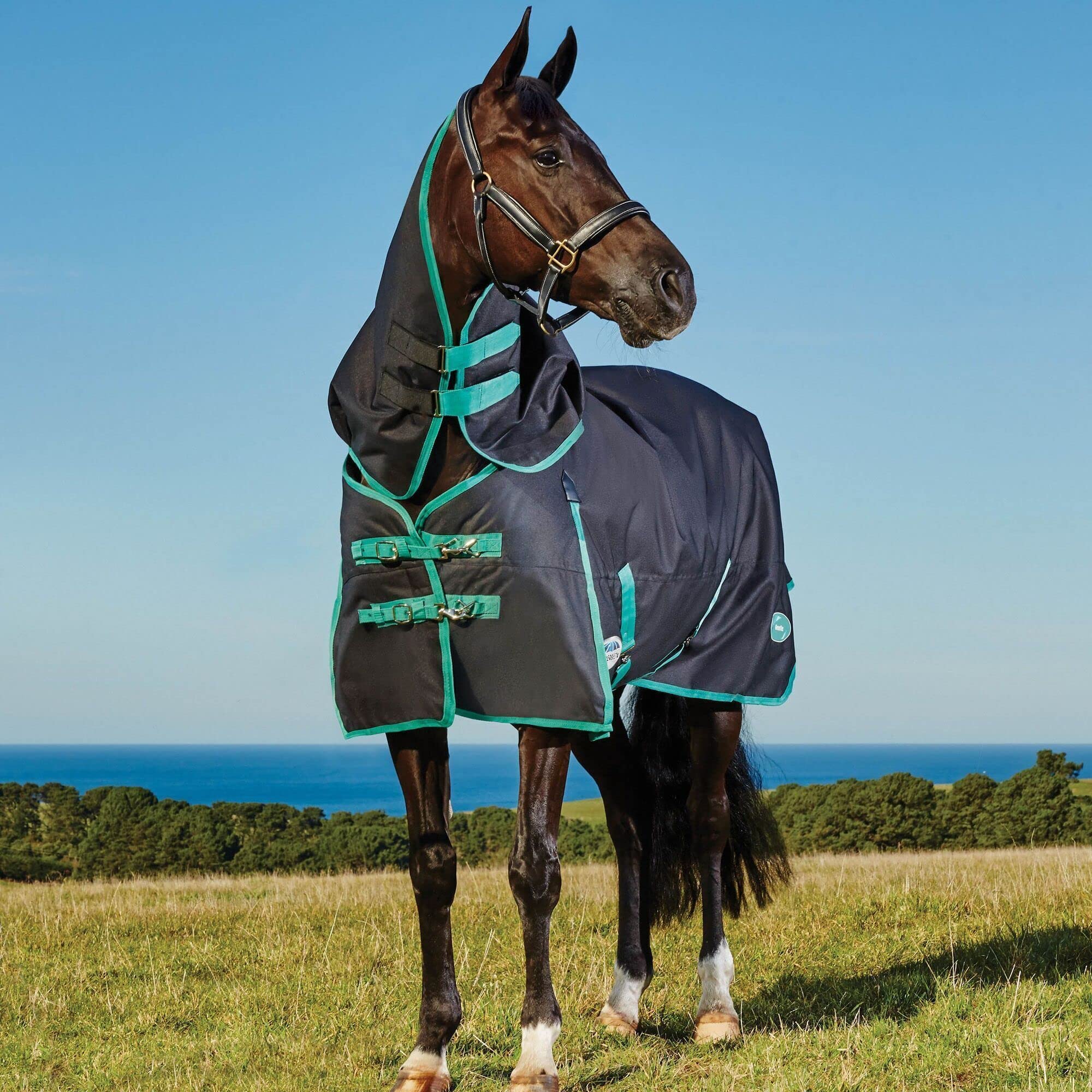 WeatherBeeta Green-Tec 900D Detach-A-Neck Medium Horse Blanket, Black/Bottle Green, 69"