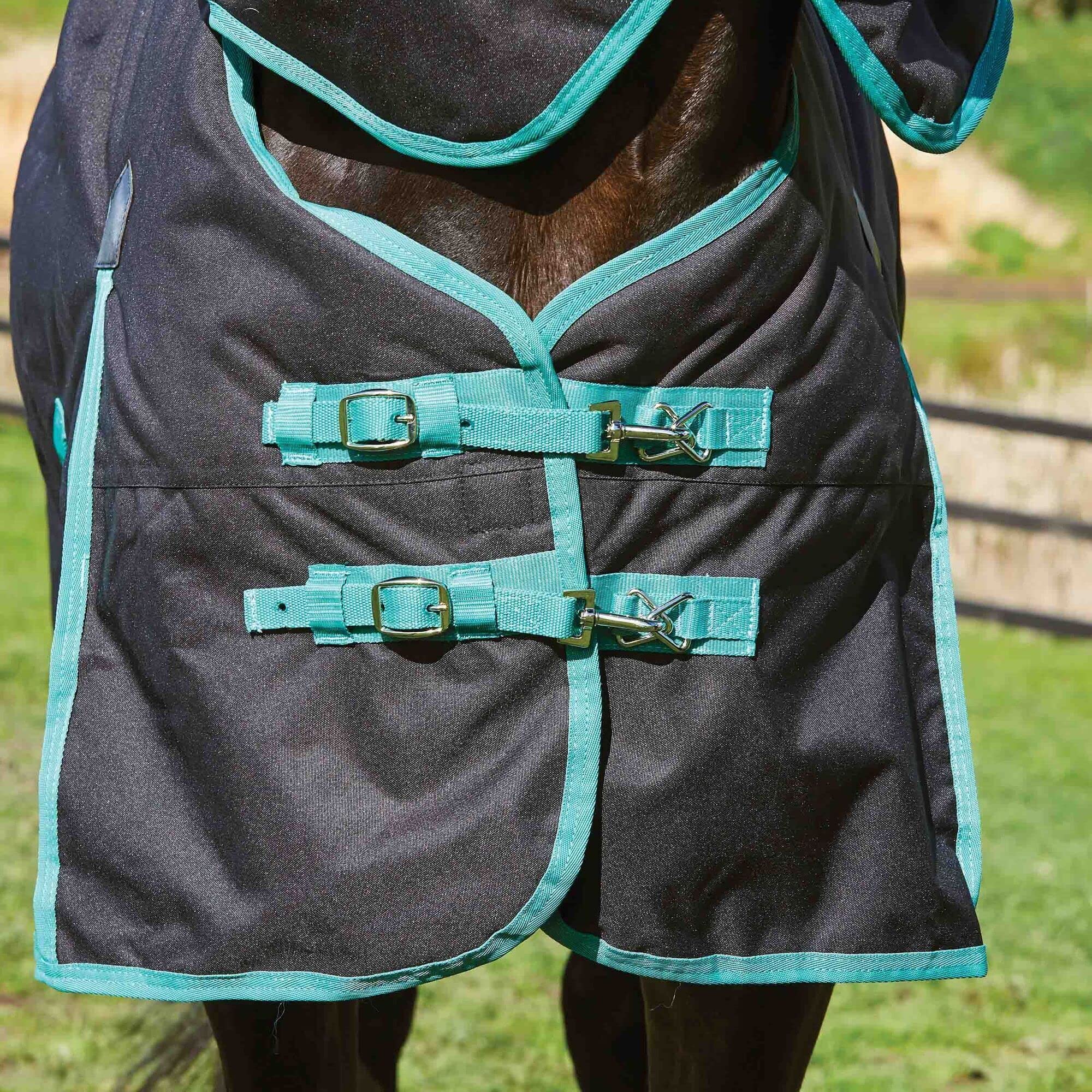 WeatherBeeta Green-Tec 900D Detach-A-Neck Medium Horse Blanket, Black/Bottle Green, 69"