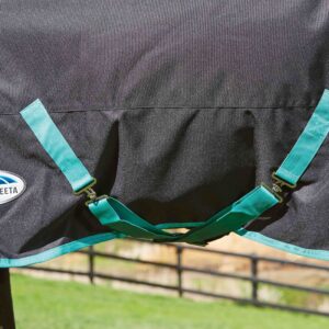 WeatherBeeta Green-Tec 900D Detach-A-Neck Medium Horse Blanket, Black/Bottle Green, 69"