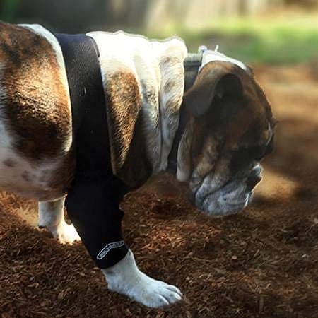 Walkabout Double Elbow Brace for Dogs and Cats (Extra Small 1" Above Elbow 2"-3")