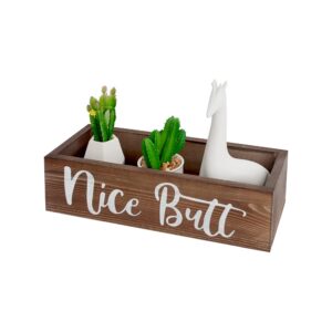 coral flower nice butt bathroom decor box - toilet paper holder,15 inches, espresso