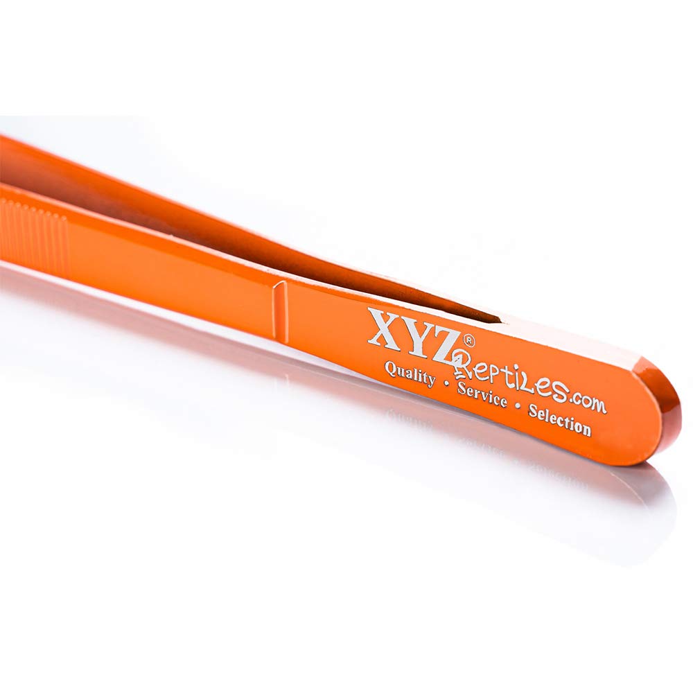 XYZReptiles Snake Feeding Tongs Stainless Steel Reptile Feeding Tongs With PVC Safety Tip (8 inch, Orange)