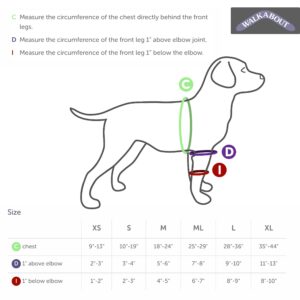 Walkabout Double Elbow Brace for Dogs and Cats (Extra Small 1" Above Elbow 2"-3")