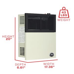 Ashley Hearth DVAG11N 11,000 BTU Direct Vent Natural Gas Heater, Cream