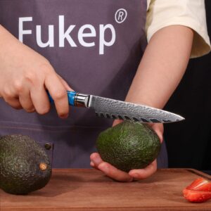 Fukep Kitchen Utility Knife, 5 Inch Paring Knife Sharp-edged Damascus Paring knife VG10 Core Steel With 66 Layers High Carbon Steel - Ergonomic Blue Handle - Small Fruit Knife