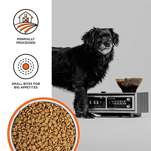 BIXBI Liberty Small Breed Grain Free Dry Dog Food, Chicken, 4 lbs - Fresh Meat, No Meat Meal, No Fillers for Easy Digestion - USA Made