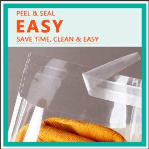 iMailer - 500 Pcs - 10" x 13" Clear Plastic Cellophane Bags - Resealable Self Sealing Cello Poly Bags for Prints, Photos, Documents, Clothing, T-Shirt