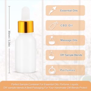 6 Pack,Frosted Glass Dropper Bottle for Essential Oils,Empty Glass Liquid Holder With Glass Eye Dropper,Golden Caps Travel Perfume Cosmetic Container-Pipette&Funnel included (15ml/0.5 fl oz)