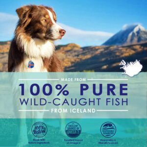 Liquid Fish Oil for Dogs with Omega 3, 6 & 9 Fatty Acids, Wild Caught from Iceland, Skin and Coat Supplement for Shedding, Itchy Skin, Allergies, Brain and Heart Health, Rich in EPA + DHA - 12 oz