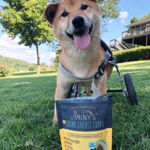 Jiminy's Original Cricket Cookie Dog Treat Bundle, Peanut Butter & Pumpkin (5oz) & Peanut Butter & Blueberry (5oz)