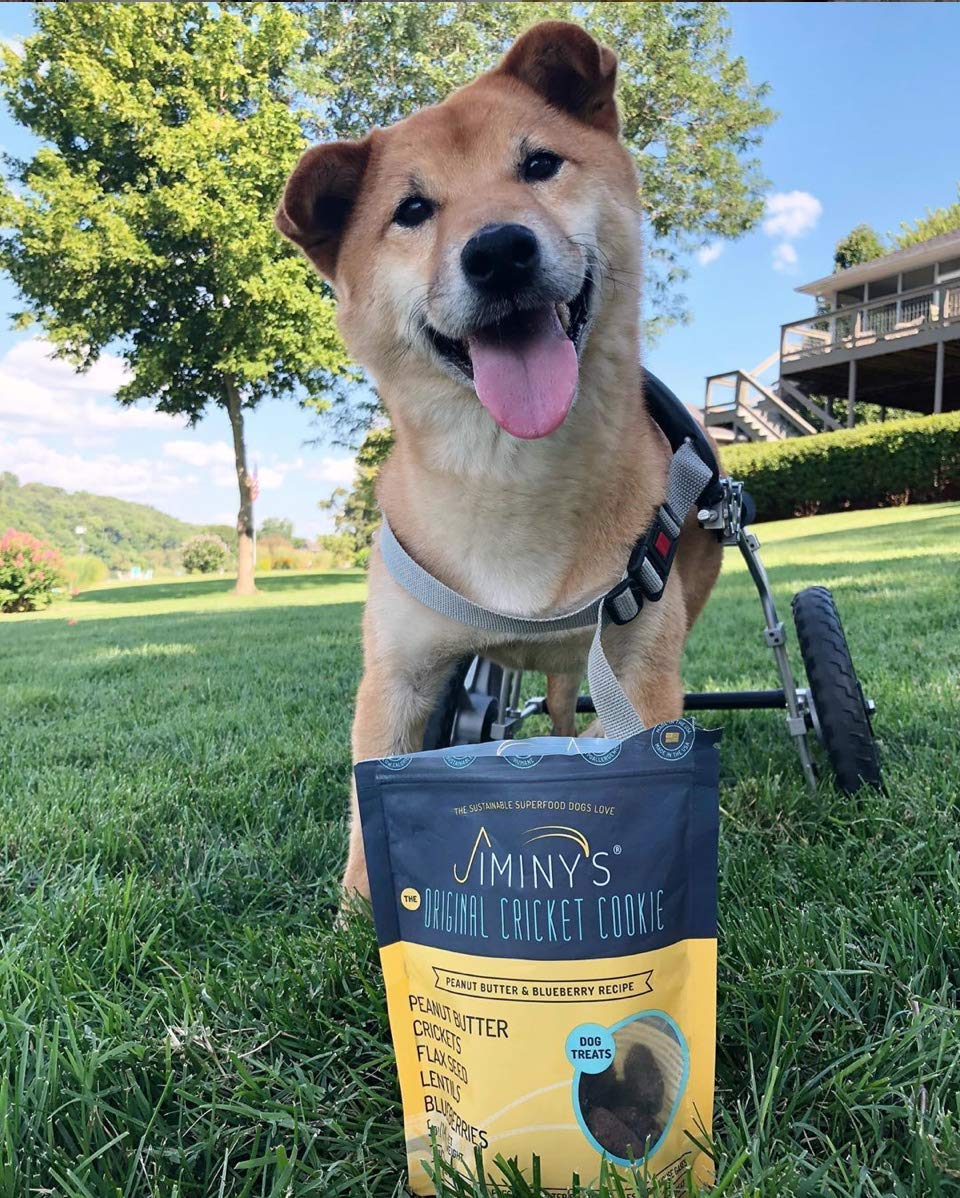 Jiminy's Original Cricket Cookie Dog Treat Bundle, Peanut Butter & Pumpkin (5oz) & Peanut Butter & Blueberry (5oz)