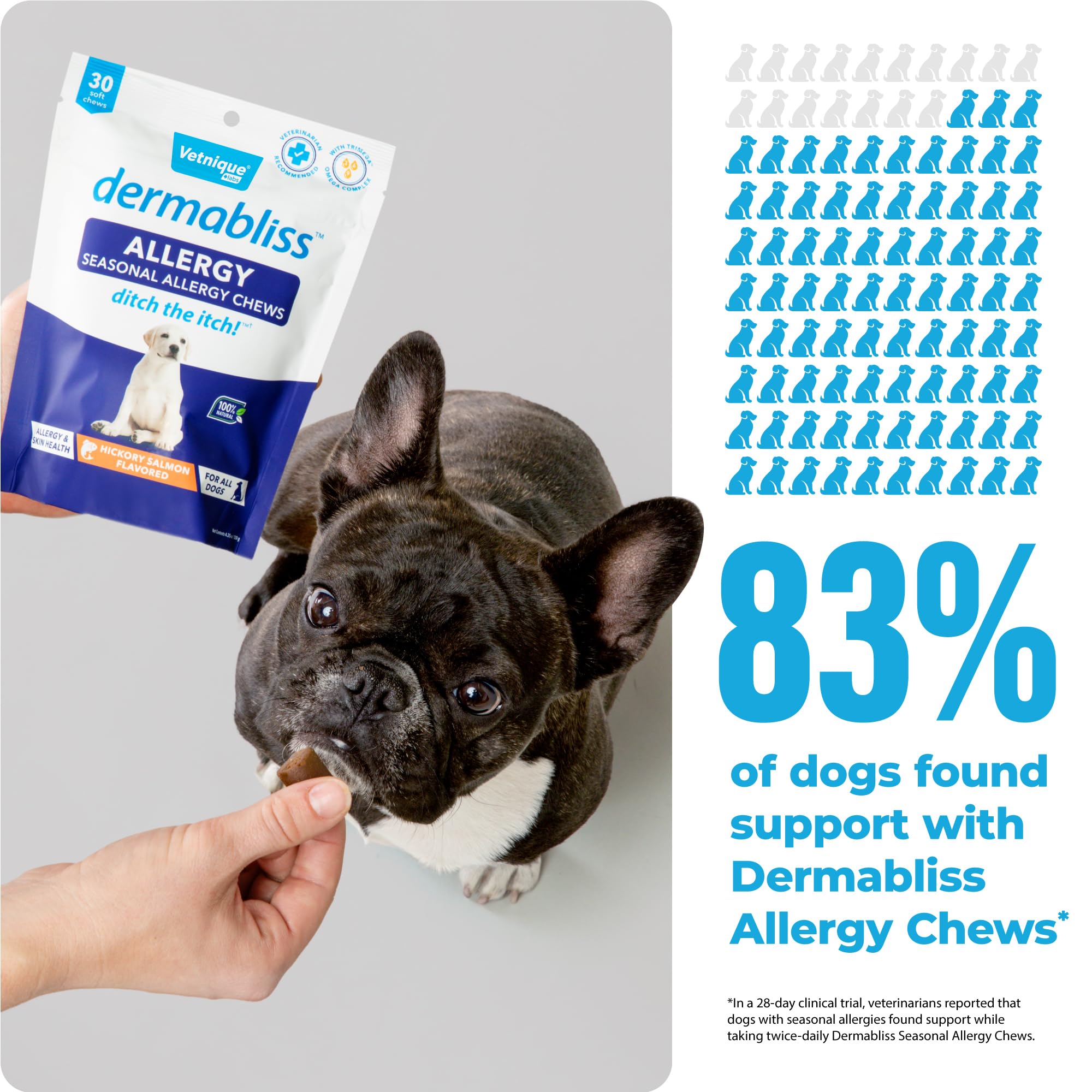 Vetnique Dermabliss Dog Allergy Relief & Immune Support Supplement Allergy Chews for Dogs Itching and Licking with Omega 3 Fish Oil & Probiotics for Itch Relief - Vet Recommended (30ct Chews)