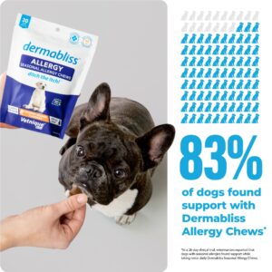 Vetnique Dermabliss Dog Allergy Relief & Immune Support Supplement Allergy Chews for Dogs Itching and Licking with Omega 3 Fish Oil & Probiotics for Itch Relief - Vet Recommended (120ct Chews)