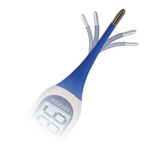 Reizen Talking Digital Thermometer