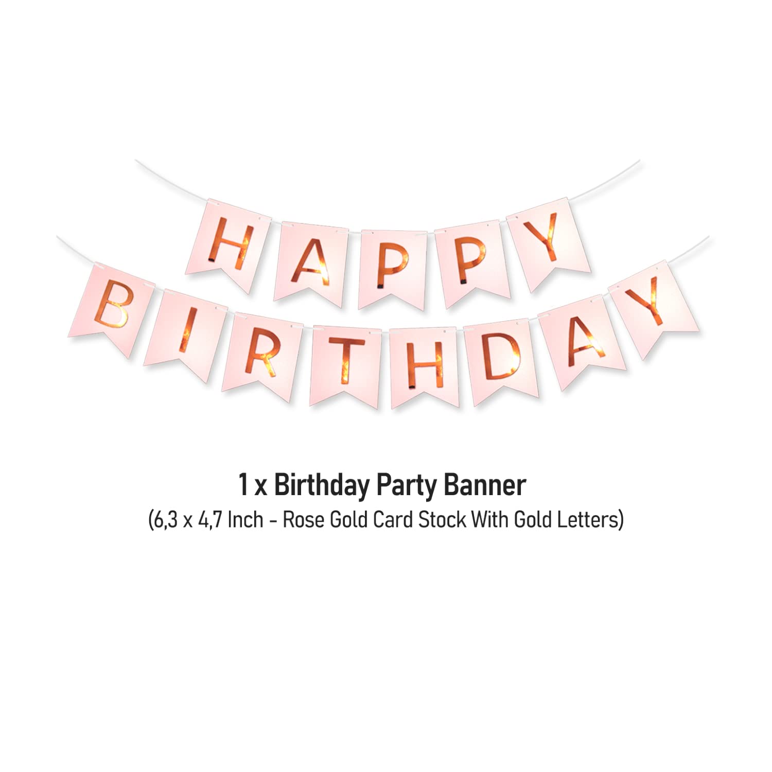 29th Birthday Party Decorations for Women Rose Gold Supplies Set with Last Year In My 20s Balloon Banner and Sash including 29 BDay Digit Balloons for Her