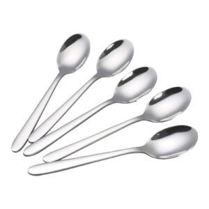 zerdyne 12-piece stainless steel teaspoon, small spoon