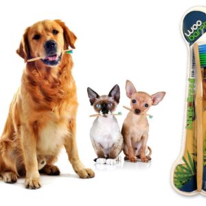 Woobamboo! Eco-Friendly Small Breed Dog and Cat Bamboo Toothbrush (Pack of 2)