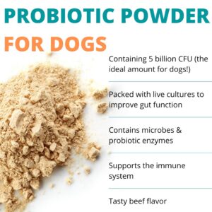 PET CARE Sciences Approx 120 Servings of Dog Probiotic Powder - Dog Probiotics and Digestive Enzymes - Enzyme Supplement for Dogs - Dog Digestive Support - Made in The USA