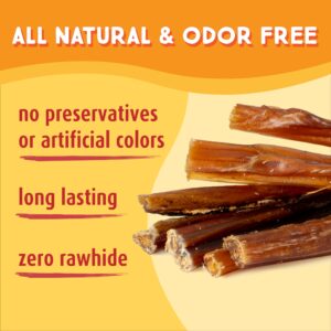 Ultra Chewy 6-Inch Odor Free Bully Stick 25 Pack: Best Bully Sticks for Small to Large Dogs - Top Choice Treats Sticks for a Healthy Chew - Fully Digestible - Rawhide Free