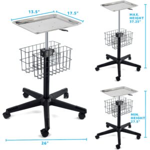 Pneumatic Stainless Steel Instrument Tray on Wheels - Pneumatic Height Adjustable Styling Cart with Organizer - Stainless Steel Aesthetician Cart, Tattoo Tray Table, Medical Tray on Wheels