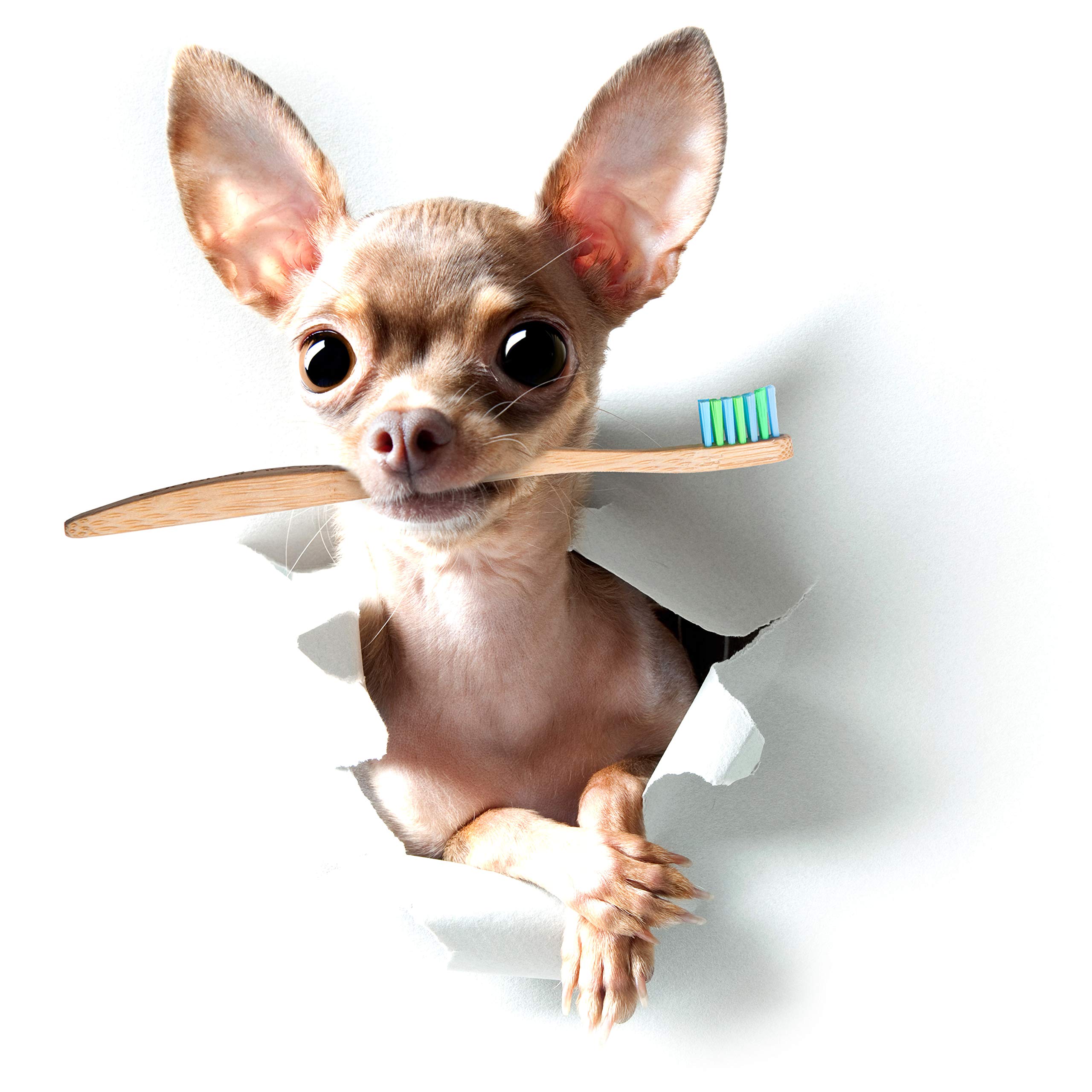 Woobamboo! Eco-Friendly Small Breed Dog and Cat Bamboo Toothbrush (Pack of 2)