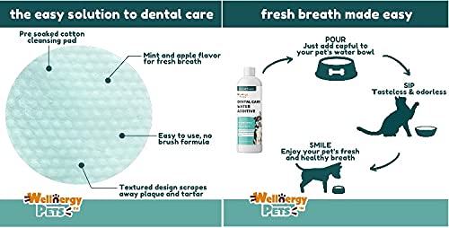 Wellnergy Pets Dental Care Combo for Dogs & Cats - Dental Water Additive 16 fl oz & Dental Wipes 100 Pads - Improves Oral Hygiene, No Brush Formula