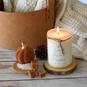 BB Candles Winter & Fall Collection - Natural Soy Hand Poured Fragrant Candles, Frosted Jars with Bamboo Lid, Home Decor & Relaxation, 90+ Hours Burn Time, 12oz (Fall Label - Salted Caramel Pumpkin)