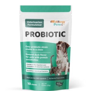 Wellnergy Daily Probiotic & Prebiotics Soft Chew for Dogs & Cats - Digestive Support for Diarrhea, Constipation, Upset Stomach, Indigestion & Gas - Helps Digestion, Allergy Skin & Immune Health 60ct