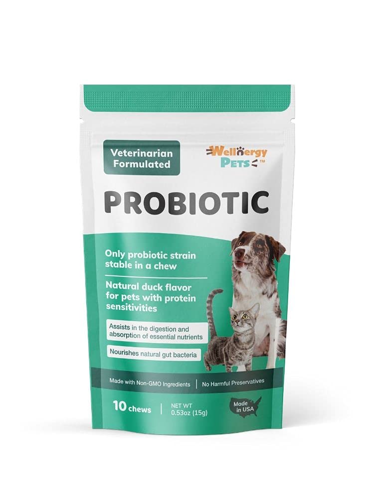 Wellnergy Daily Probiotic & Prebiotics Soft Chew for Dogs & Cats - Digestive Support for Diarrhea, Constipation, Upset Stomach, Indigestion & Gas - Helps Digestion, Allergy Skin & Immune Health 60ct