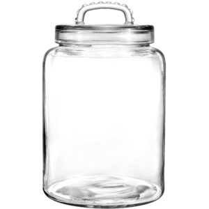 daitouge 3 gallon glass jar with lid, 1 pack wide mouth large glass jar with lid, super large cookie jar for food storage, sugar, flour, cookies,dog treats