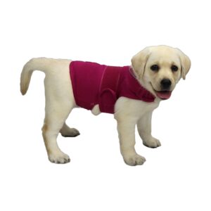 cattamao comfort dog anxiety relief coat, dog anxiety calming vest wrap for thunderstorm,travel,4th of july fireworks,vet visits,separation anxiety relief for dogs (s, rose)