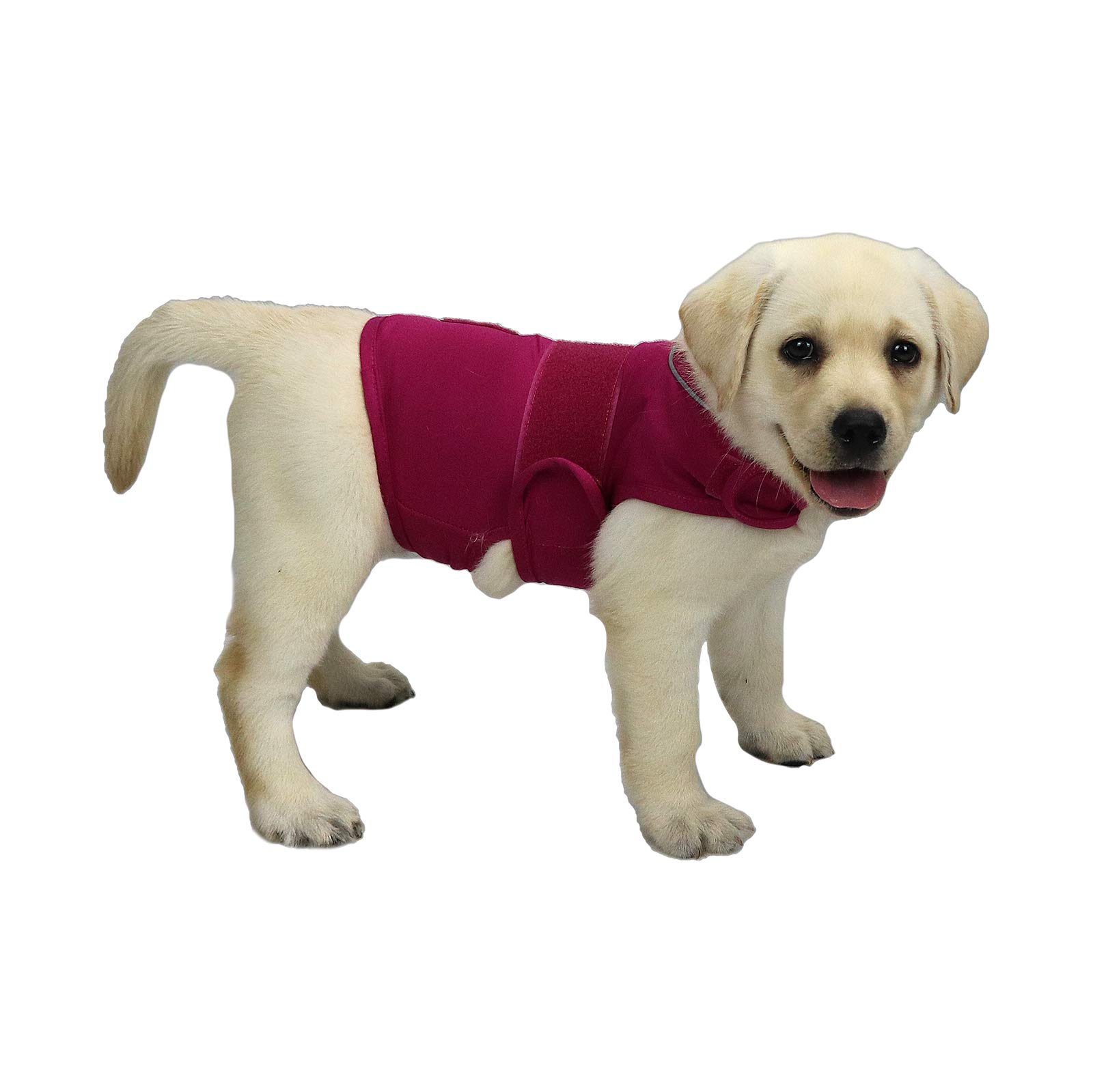 cattamao Comfort Dog Anxiety Relief Coat, Dog Anxiety Calming Vest Wrap for Thunderstorm,Travel,4th of July Fireworks,Vet Visits,Separation Anxiety Relief for Dogs (S, Rose)