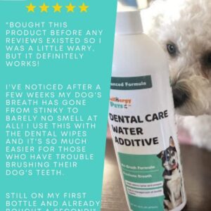 Wellnergy Pets Dental Care Combo for Dogs & Cats - Dental Water Additive 16 fl oz & Dental Wipes 100 Pads - Improves Oral Hygiene, No Brush Formula