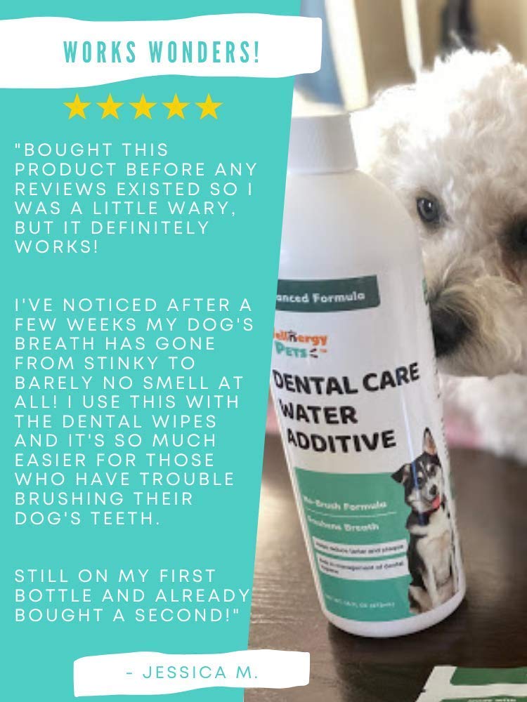 Wellnergy Pets Dental Care Combo for Dogs & Cats - Dental Water Additive 16 fl oz & Dental Wipes 100 Pads - Improves Oral Hygiene, No Brush Formula