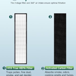 FLT5250PT Filter C Compatible with AC5250PT, AC5000E, AC5000, AC5300 Series Air Purifier, with Pet Pure Treatment, 2 True HEPA Filters & 8 Carbon Filters