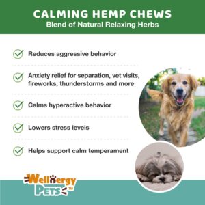 Wellnergy Natural Calming Chews for Dogs – Natural Organic Supplement- for Dogs with Stress, Separation Anxiety and Hyperactivity - 40ct Travel Pk