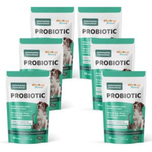 wellnergy daily probiotic & prebiotics soft chew for dogs & cats - digestive support for diarrhea, constipation, upset stomach, indigestion & gas - helps digestion, allergy skin & immune health 60ct