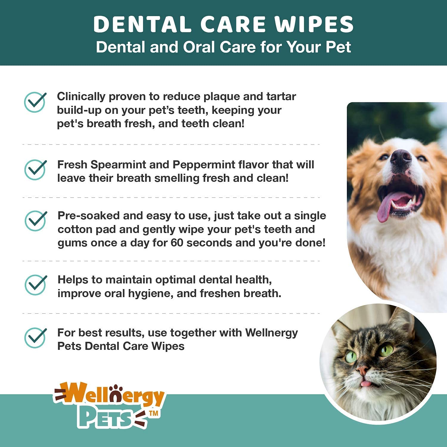 Wellnergy Pets Dental Care Combo for Dogs & Cats - Dental Water Additive 16 fl oz & Dental Wipes 100 Pads - Improves Oral Hygiene, No Brush Formula