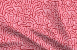 spoonflower fabric - neon pink big brains zombie brain anatomy gross nature printed on petal signature cotton fabric fat quarter - sewing quilting apparel crafts decor