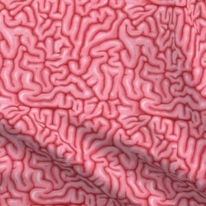 Spoonflower Fabric - Neon Pink Big Brains Zombie Brain Anatomy Gross Nature Printed on Petal Signature Cotton Fabric Fat Quarter - Sewing Quilting Apparel Crafts Decor