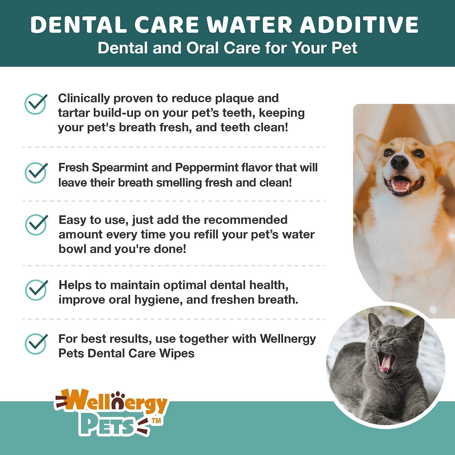 Wellnergy Pets Dental Care Combo for Dogs & Cats - Dental Water Additive 16 fl oz & Dental Wipes 100 Pads - Improves Oral Hygiene, No Brush Formula