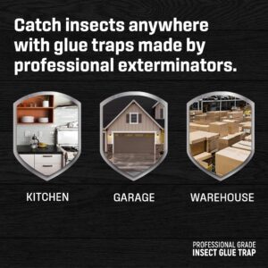 Exterminator’s Choice - Peel and Stick Glue Traps - Professional Quality Covered Glue Sticky Traps - Easy Pest Control for Ants, Roaches, Crickets, Spiders, Beetles and More - Includes 10 Traps