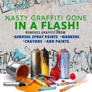 Smart 'n Easy Porous Surface Graffiti Remover - Eliminates Unwanted Graffiti from Unpainted Wood & Masonry Surfaces - Removes Aerosol Spray Paints, Crayon, Marker, Ink, Paint, Coatings - 1/2 Gallon