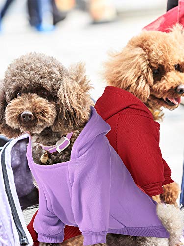 Syhood 4 Pieces Small Dog Sweaters Dog Hoodie Clothes with Hat for Small Dogs Chihuahua Clothes with Pocket Puppy Pet Winter Clothes Warm Hoodies Coat Sweater Shirt(M)