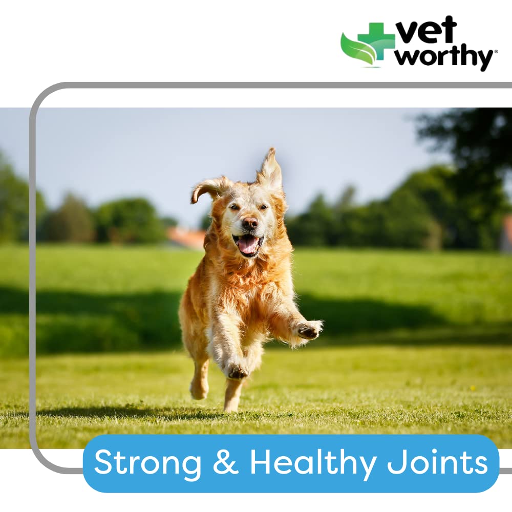 Vet Worthy Joint Support Level 1 Liver Flavored Chewable Tablet for Dogs (90 ct)