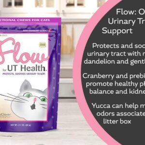 In Clover Smile Daily Dental Health Soft Chews for Cats (10.5 Oz) & Flow Soft Chews for Cats, Daily Support for UT Health (10.5 Oz)